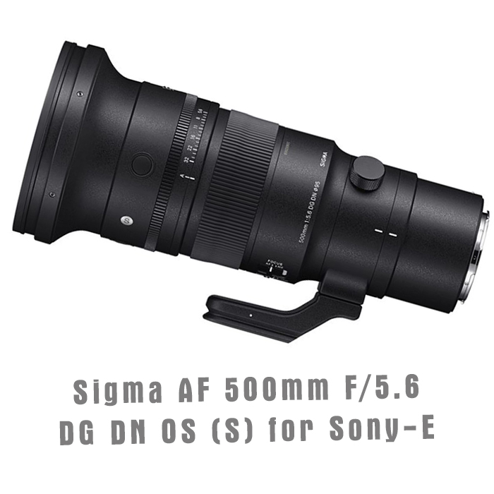 Sigma AF 500mm F/5.6 DG DN OS S for Sony | Sigma AF 500mm | Sigma 500mm ...