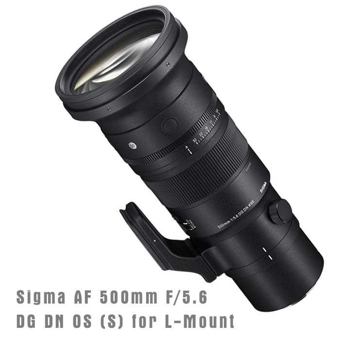 Sigma AF 500mm F/5.6 DG DN OS (S) for L-Mount| Sigma AF 500mm | Sigma ...