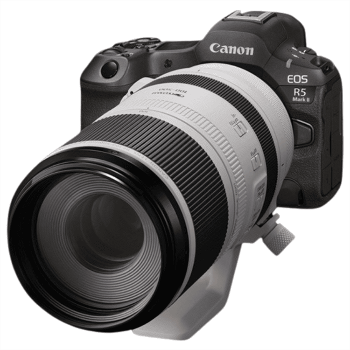 Canon RF 300-600mm F/4-5.6L IS USM Siêu Tele Chuyên Nghiệp
