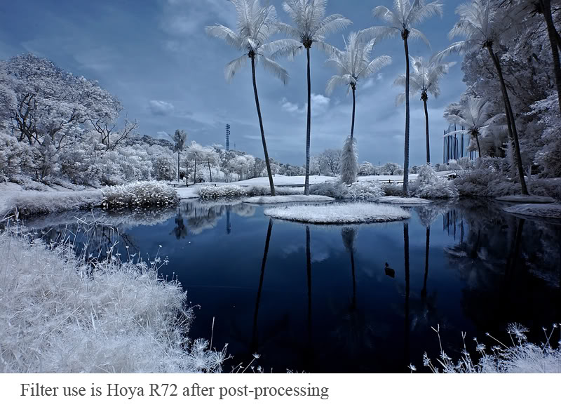 Kính lọc hồng ngoại Hoya R72 Infrared Filter 67mm | Filter cho máy ảnh ...